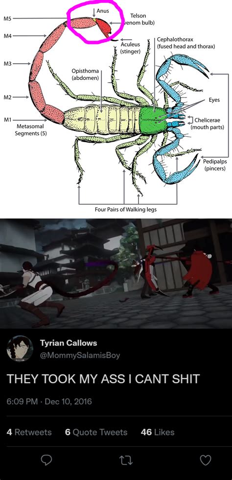 10000 Best Rfnki Images On Pholder If Adam Actually Met Team Rwby