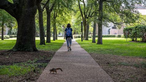 Student Loan Forgiveness Key Dates And Details So Far Good Morning