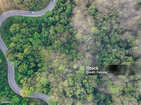 푸른 숲과 고속도로 도로의 공중 평면도 푸른 나무와 아침 안개의 드론 보기 탄소 중립과 순 배출 제로 개념의 녹색 나무 배경 지속 가능한 녹색 환경 Carbon