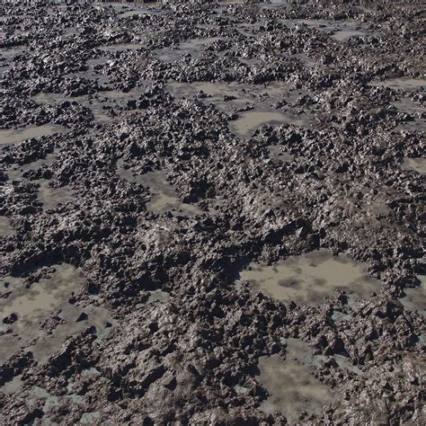 Mud Texture 3d Model 6 Obj Fbx Max Free3d