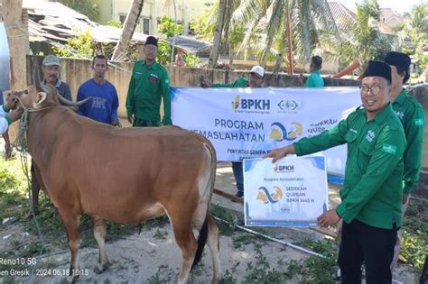 Lazisnu Bersama BPKH Salurkan Sedekah Kurban Di Bawean Gresik