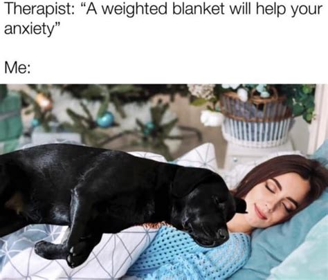 Latest Memes New Memes Memedroid