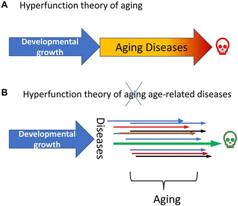 Towards Disease Oriented Dosing Of Rapamycin For Longevity Does Aging Exist Or Only Age Related