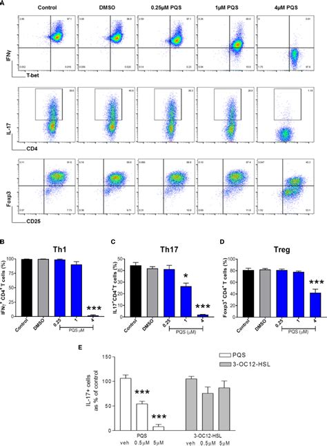 Frontiers Modulation Of Immune Cell Function IDO Expression And Kynurenine Production By The