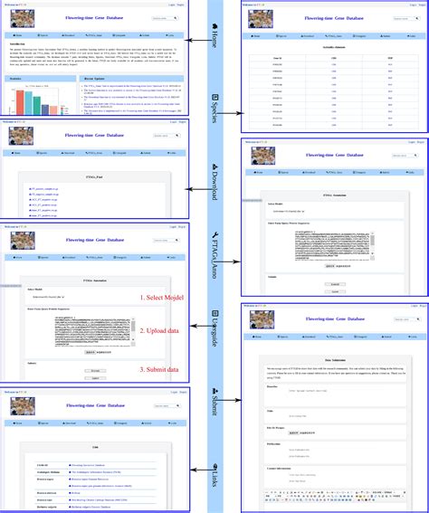 Ftgd A Machine Learning Method For Flowering Time Gene Prediction