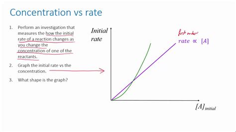 Determining Rate Experimentally Rate Laws Reaction Rates Meristem