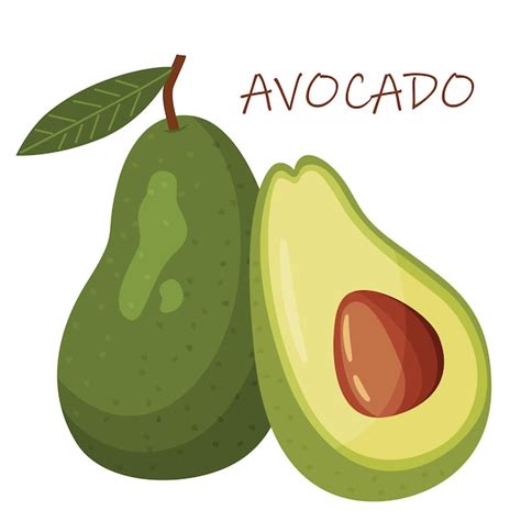 Illustration Vectorielle Davocats Avocat Entier Et Coupé Isolé Sur