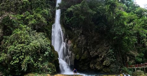Cascadas De Micos Y El Aguacate Un Recorrido Por La Naturaleza
