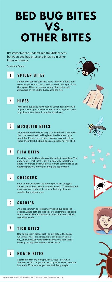 Flea Vs Bed Bug Bites Identification Other Bites And 75c