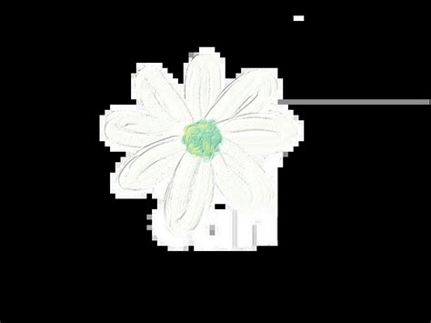 油画棒 花朵 花瓣网