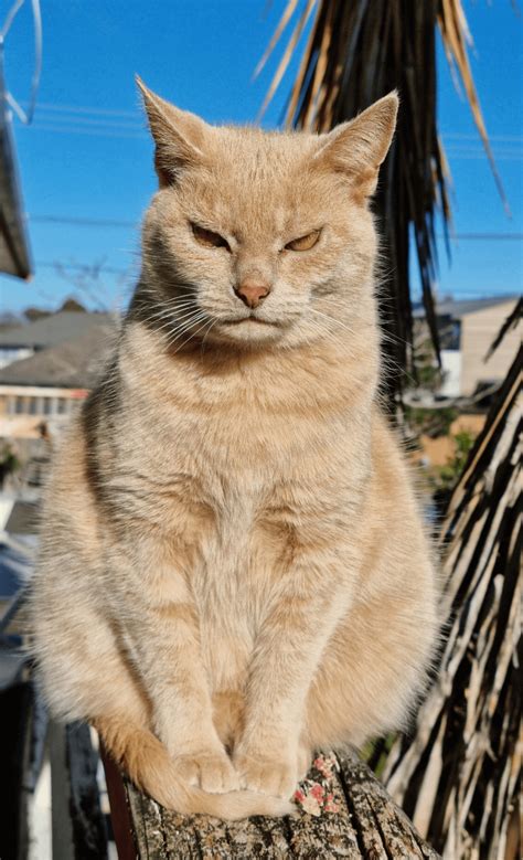 Lilys Resting Bh Face 😂 Rdiscworld