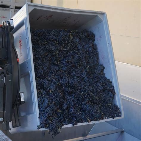 Tempranillo - king of spain’s winemaking - Blog about wine and strong ...