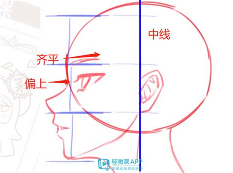 侧脸的画法动漫人物动漫人物侧脸画法教程 知乎