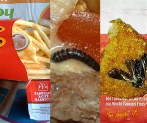 Cosas más asquerosas encontradas en Mc Donald s Chismes Today