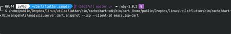 Run Lsp Get Error The Following Servers Support Current File But Do