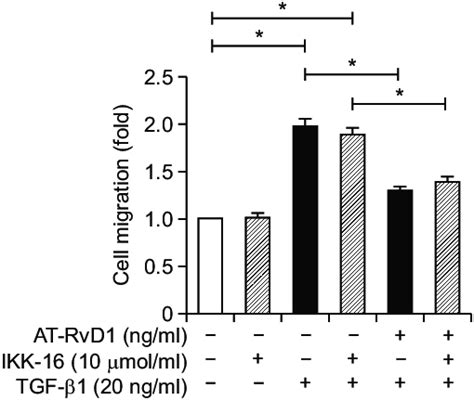 The Effects Of At Rvd1 On Tgf β1 Induced Cell Migration Cells Were