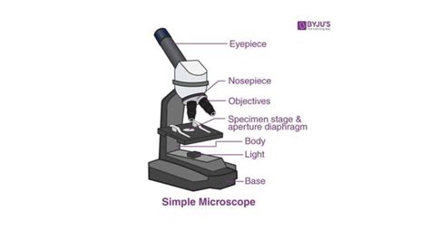 Simple Microscopepptx Free Download