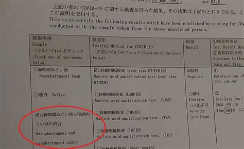 渡航と帰国 Nuitm Kemri Project