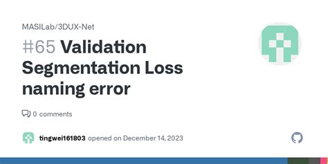 Validation Segmentation Loss Naming Error Issue Masilab Dux