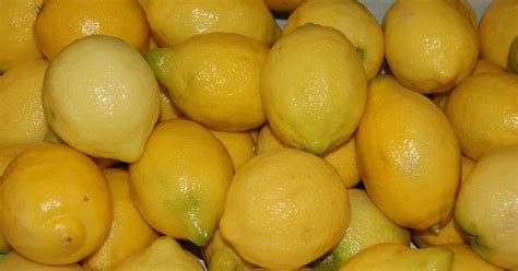 Alicante 50 Prozent Weniger Zitronen Verna Article Fruitnet