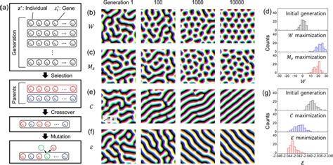 Results Of The Genetic Algorithm A A Schematic Illustration Of The