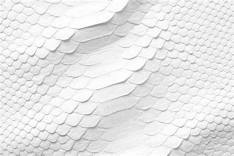 White Background From Natural Serpentine Leather Python Skin 50549153
