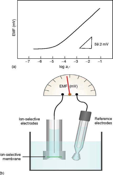 Figure 2 From Ion‐selective Electrodes With Ionophore‐doped Sensing