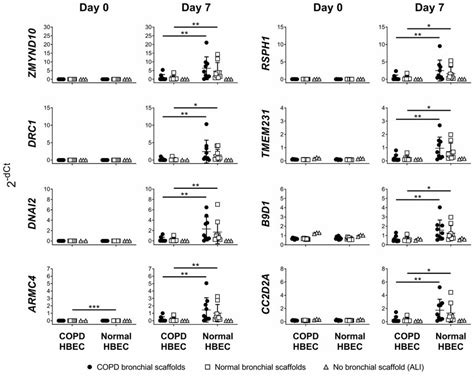 Figure E4 Real Time Qrt Pcr Data For Genes Involved In Ciliary