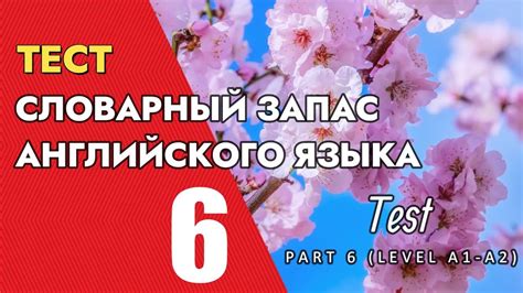 Тест Словарный запас английского языка Уровень А1 A2 Часть 6 Youtube
