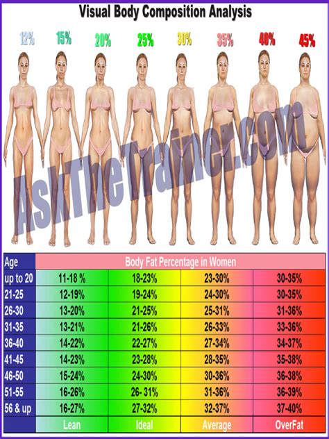 Visual Body Fat Analysis Chart Women Pdf