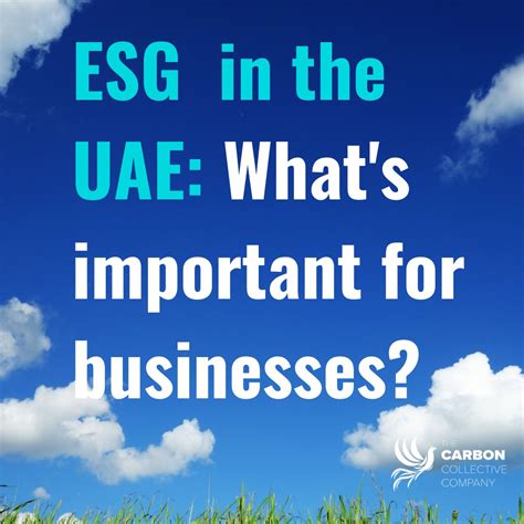 The Importance Of Esg In The Carbon Collective Company