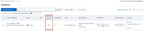 Select A Method To Connect To An Instance Elastic Compute Service