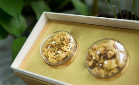 河南健特生物科技集团有限公司