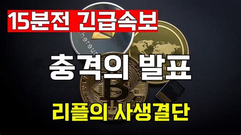 단단히 결심한 리플의 행보 Youtube