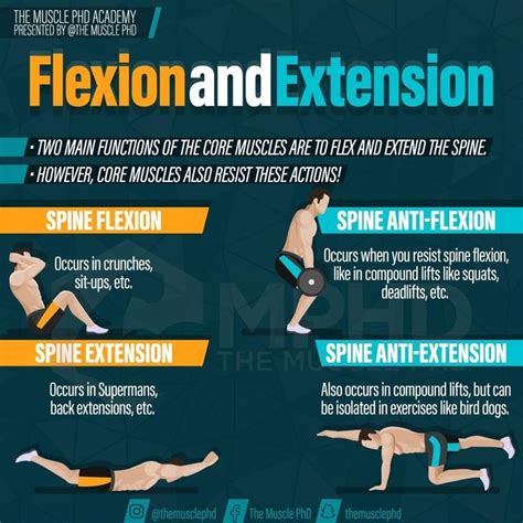 Flexion And Extension