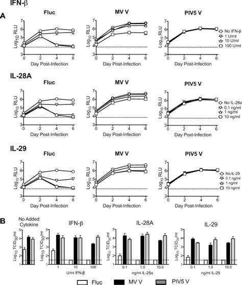 Human Interferon Alpha 2a Recombinant Reprokine
