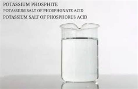 50 Potassium Salt Active Phosphorus Liquid 500gm Bottle At Rs 135 Kg