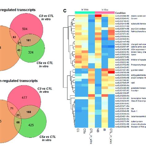 differentially expressed protein coding transcripts shared in response