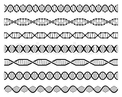 Dna Helix Chains Double Helix Gene Molecule Structure Huma Colourbox