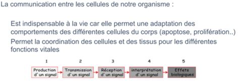 Signalisation Cellulaire Flashcards Quizlet