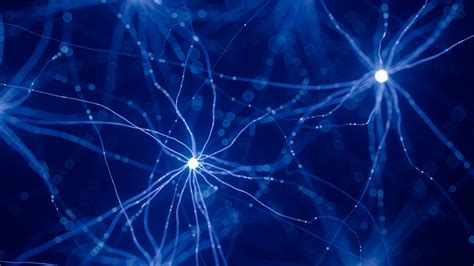 敵対的生成ネットワーク（gan）とは？画像生成の仕組みと今後の課題を解説 Dxを推進するaiポータルメディア「aismiley」