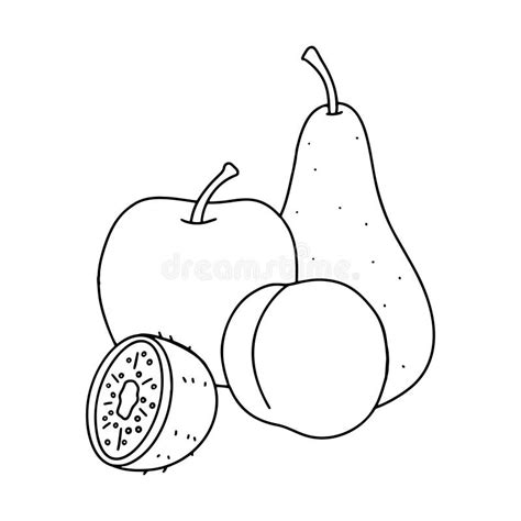 Plátanos Y Granadas Frutos De Cosecha Dibujo En Blanco Y Negro