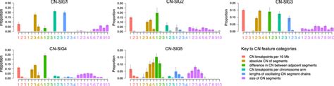 De Novo Extraction From Whole Genome Sequencing Data Produces 5