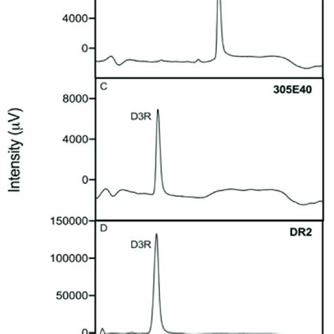 Hplc Chromatograms Of Anthocyanin Types A D3r And Nas Standards And