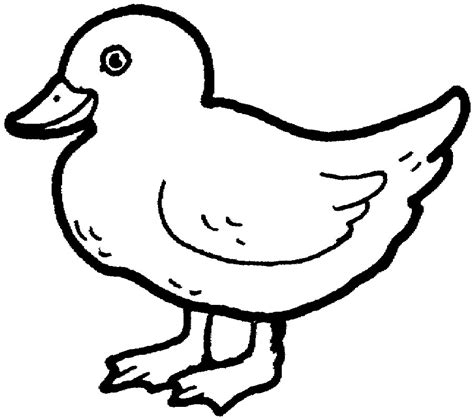 Duck的简笔画chicken的简笔画pig的简笔画大山谷图库