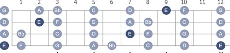 E Locrian Bass Guitar Scale