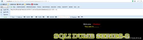 【sqli Labs】less 8——布尔盲注sqllab布尔盲注 Csdn博客