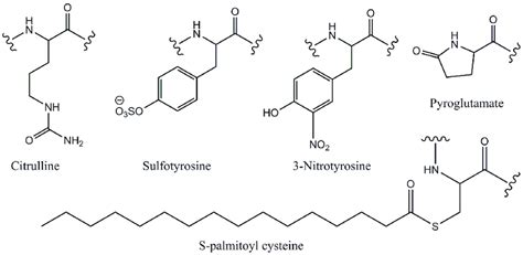 Examples Of Post Translationally Modified Amino Acid Residues Found In