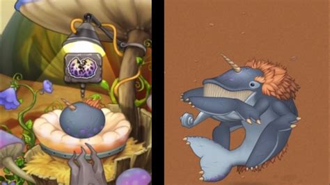 Bowhead On Amber Island My Singing Monsters Youtube