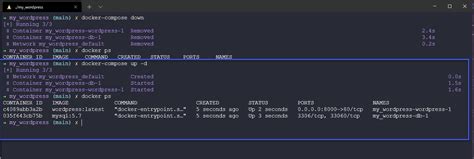 Docker Compose Devops Cloudtada